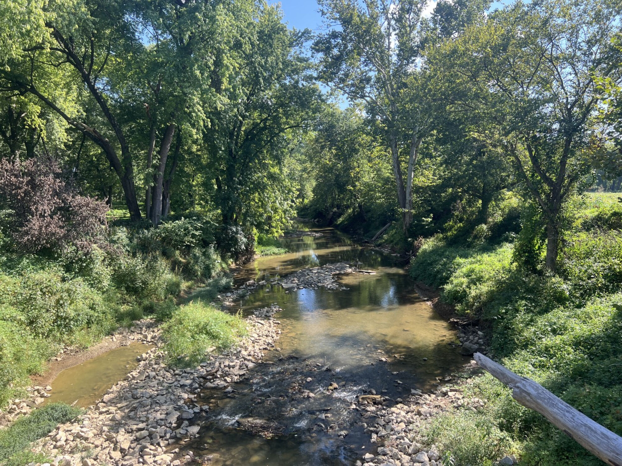 175 Ac With 1 Mile Of Blue River Frontage Washington Co Land Auction