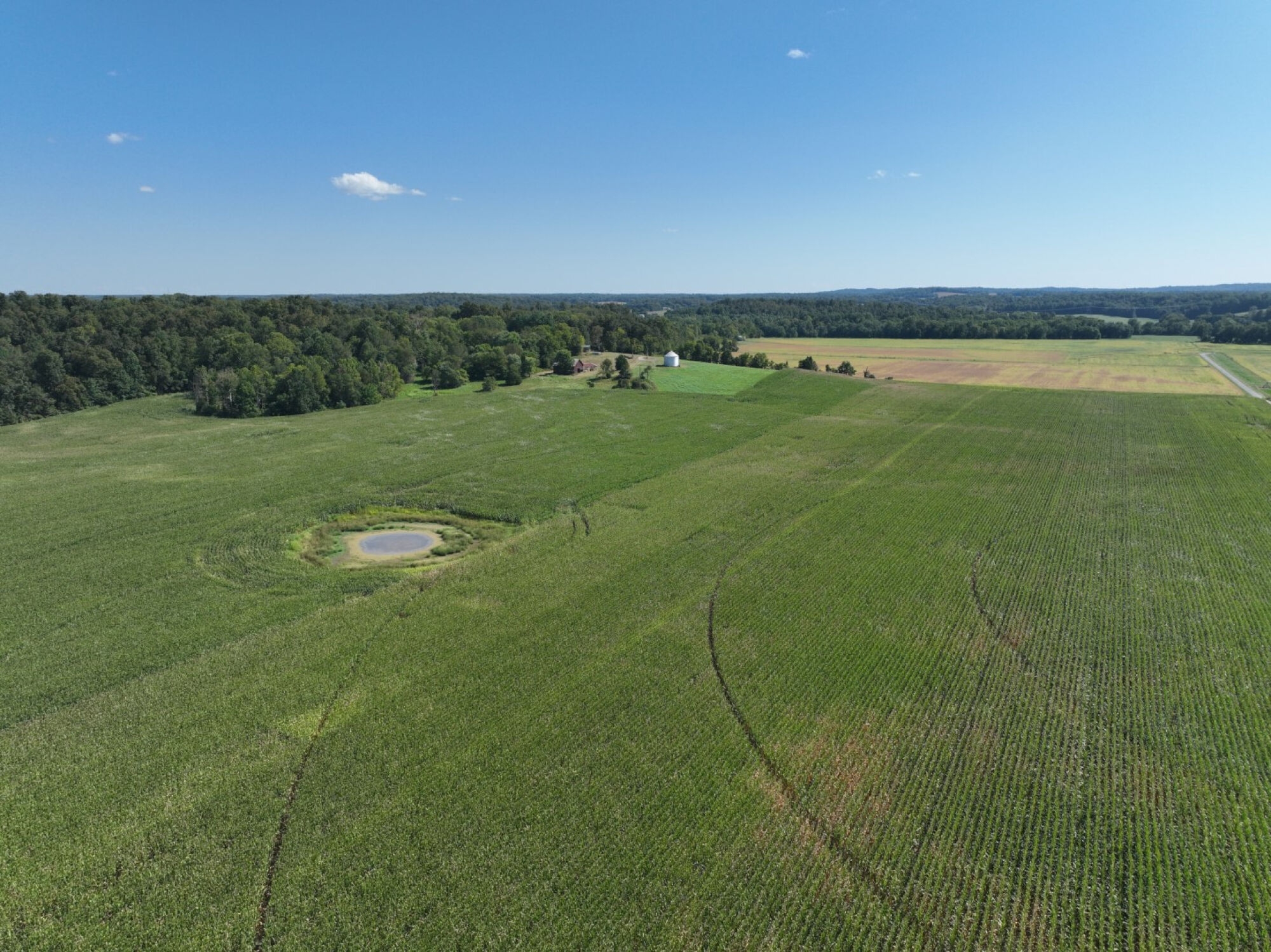 175 Ac With 1 Mile Of Blue River Frontage Washington Co Land Auction