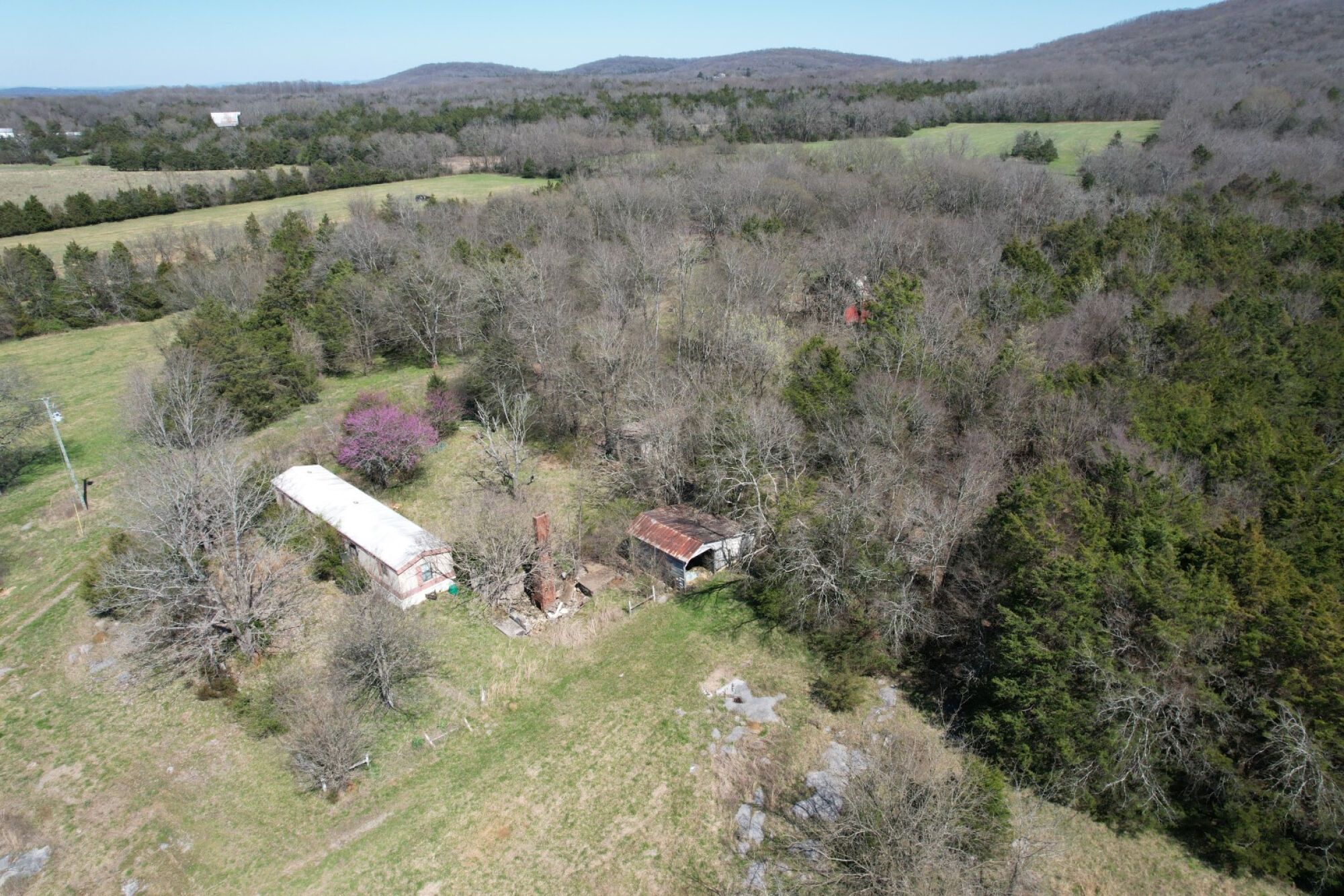 160 Acres Offered In Tracts In Rockvale Tn Auction Conducted By